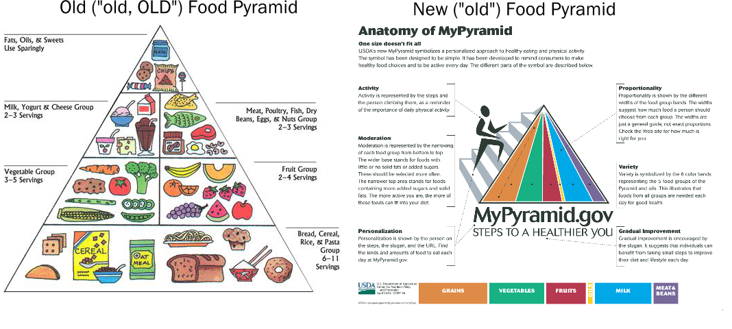 So, what exactly am I supposed to eat? The new MyPlate icon vs. the ...